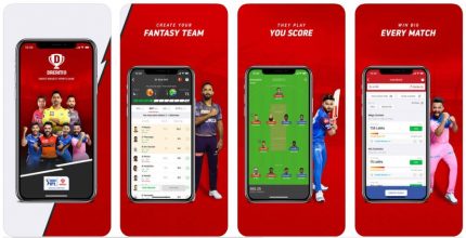 How to develop an app like Dream11? | fantasy sports app development