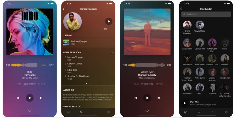 How to Develop an App Like Plexamp? - Matellio Inc